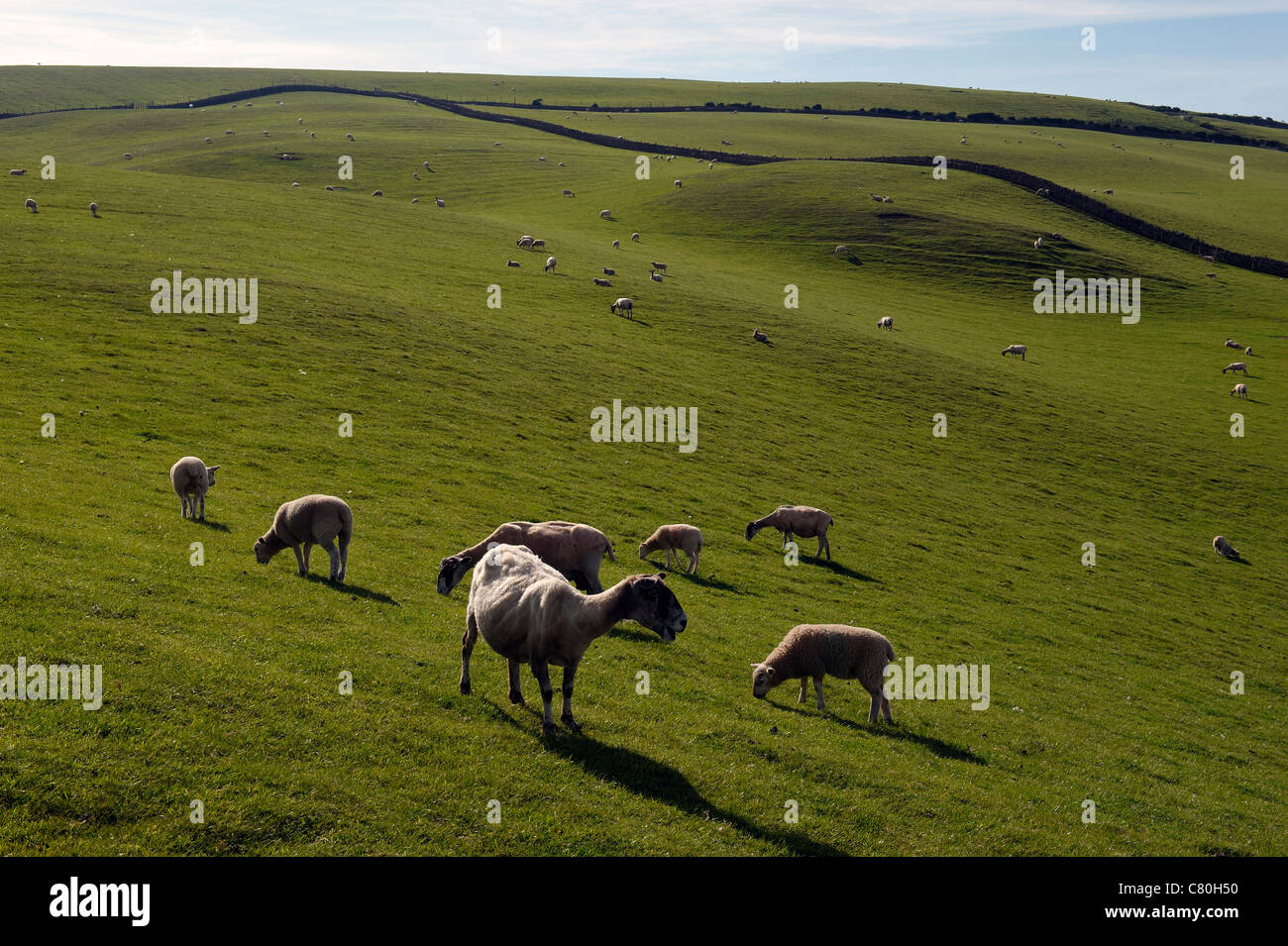 Uk landschaften -Fotos und -Bildmaterial in hoher Auflösung – Alamy