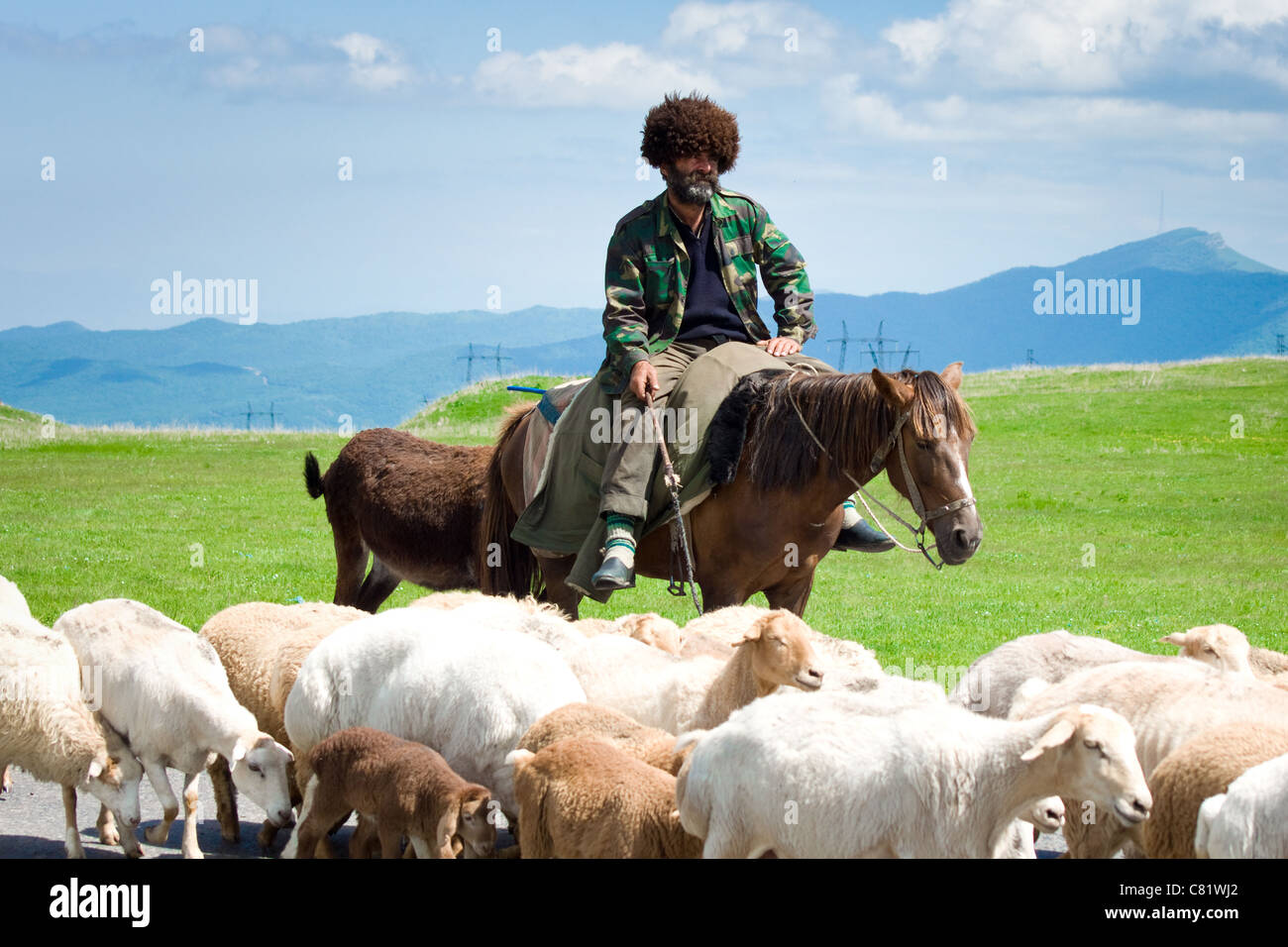 Ein Hirte aus Dorf mit seiner Herde von Schafen Stockfotografie - Alamy