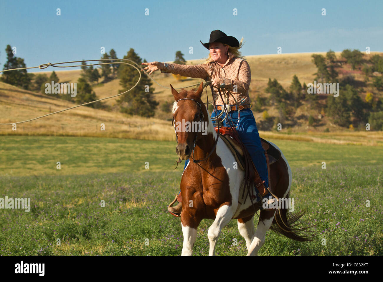 Westernsattel mit seil zu pferd -Fotos und -Bildmaterial in hoher ...