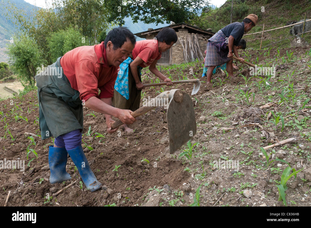 Bauern Bei Der Arbeit Stockfotos und -bilder Kaufen - Alamy