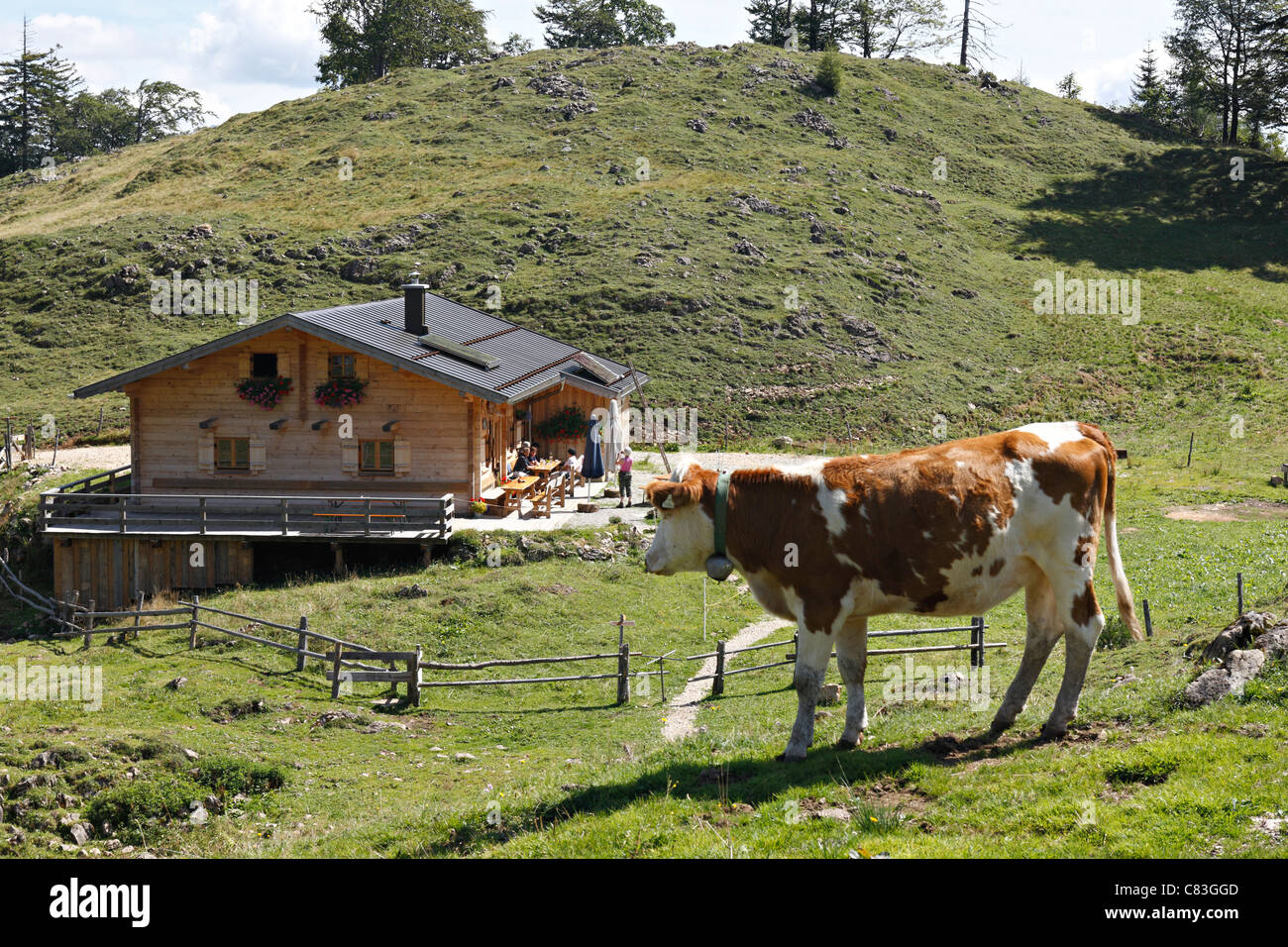 Kuh und Alpine Guest Haus Hütte, Taubensee Alpen Chiemgau Upper Bavaria ...
