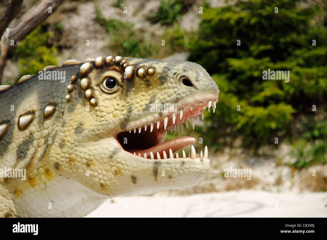 Ornithosuchus ornithosuchus -Fotos und -Bildmaterial in hoher Auflösung ...