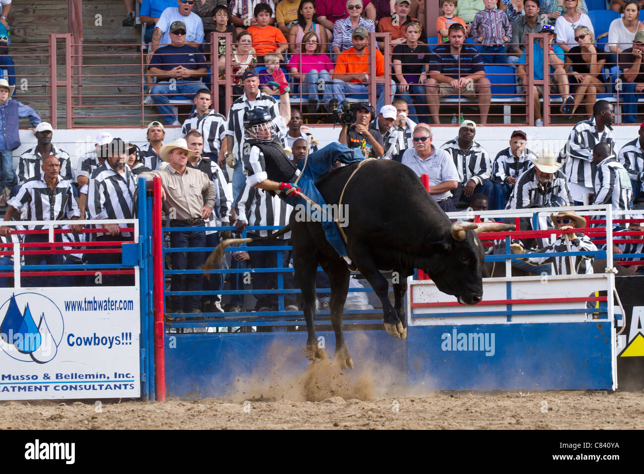 Bullenreiten beim Staat Angola Prison Rodeo in Louisiana State ...