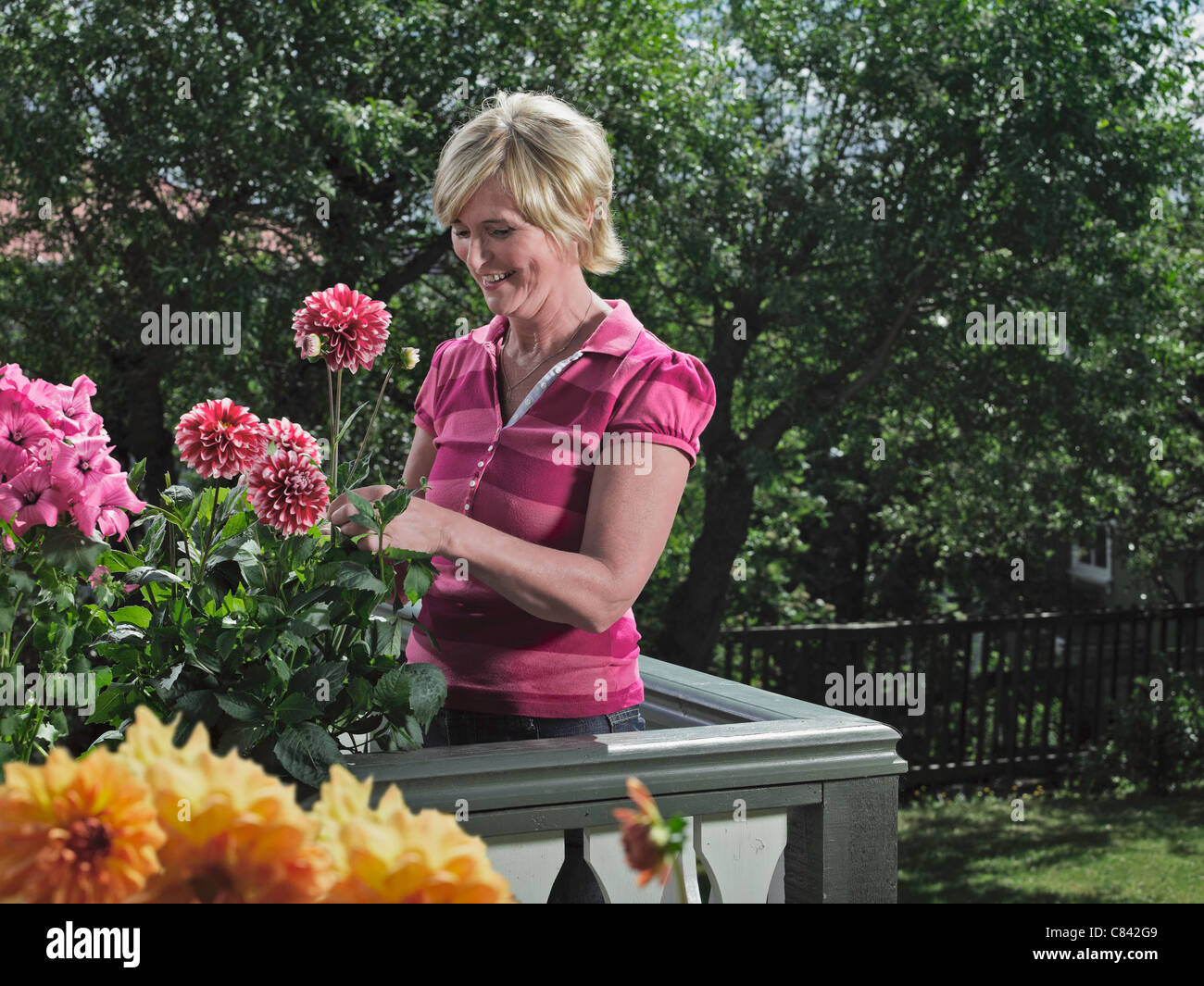 Gartenarbeit am balkon -Fotos und -Bildmaterial in hoher Auflösung – Alamy
