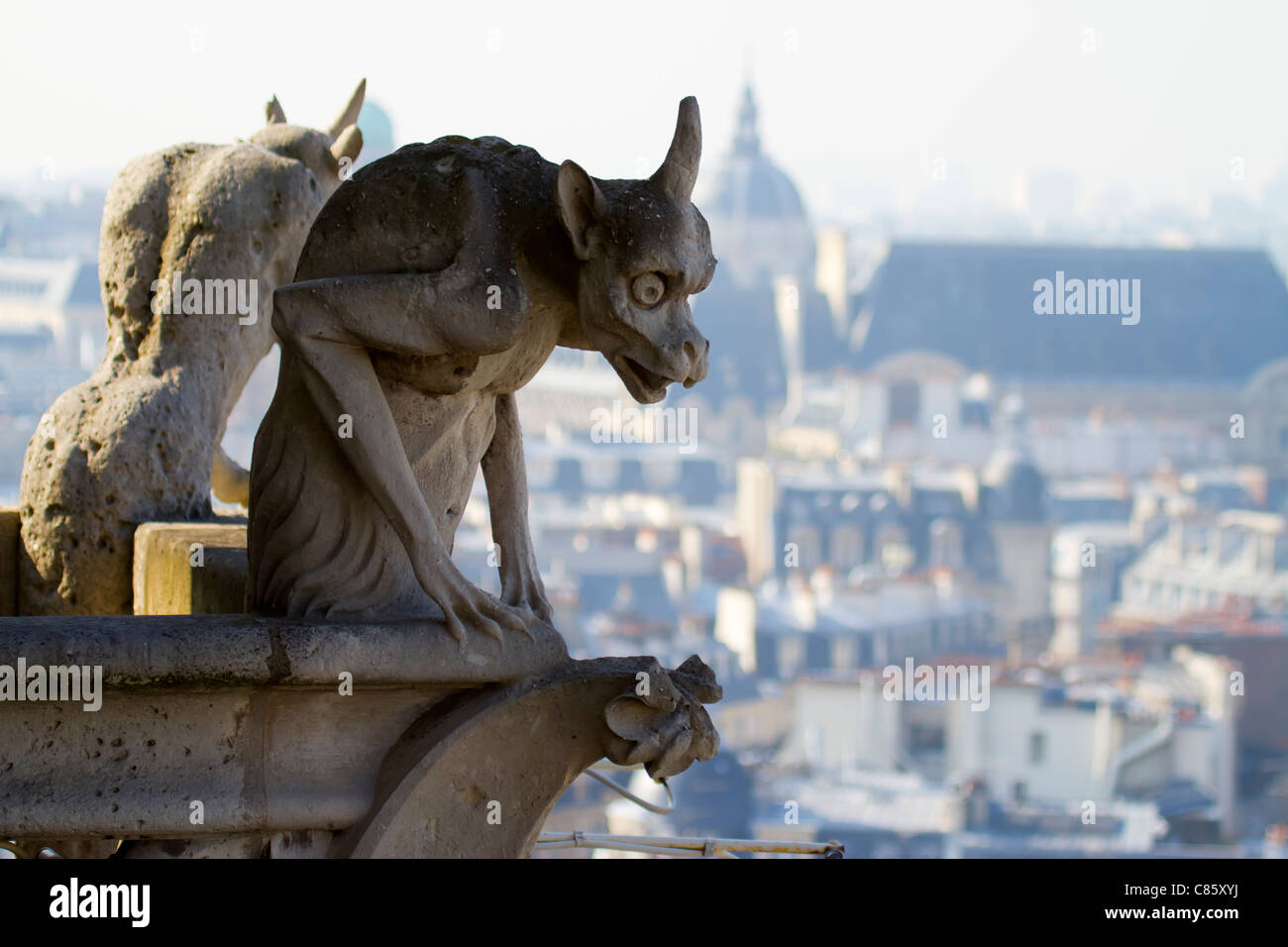 Gargoyle Figur. Kathedrale Notre-Dame. Paris, Frankreich, Europa ...