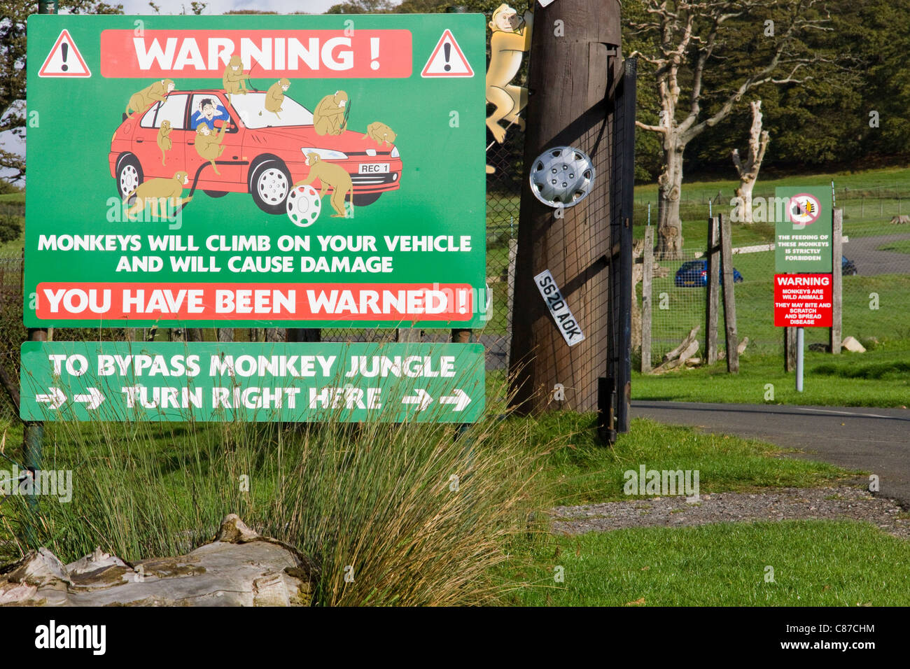 "Monkey Drive Thru" Longleat Safari Park Wiltshire UK Stockfotografie ...