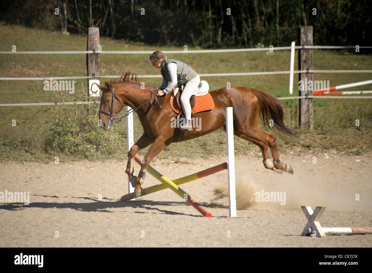 Reiter reiten springen springen springt -Fotos und -Bildmaterial in ...