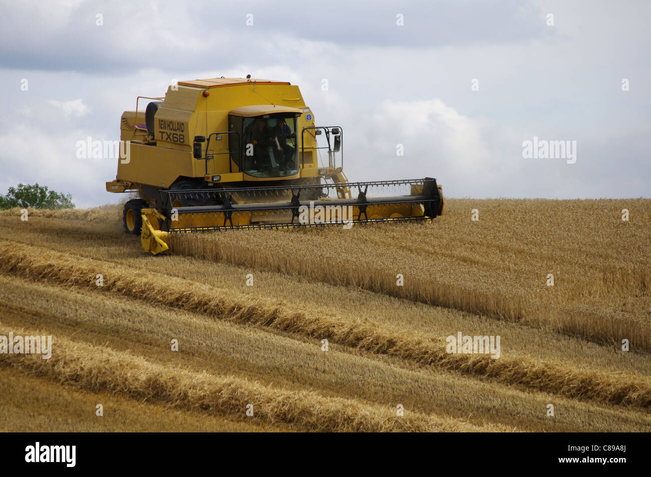 New Holland TX68 Ernte Weizen Stockfotografie - Alamy
