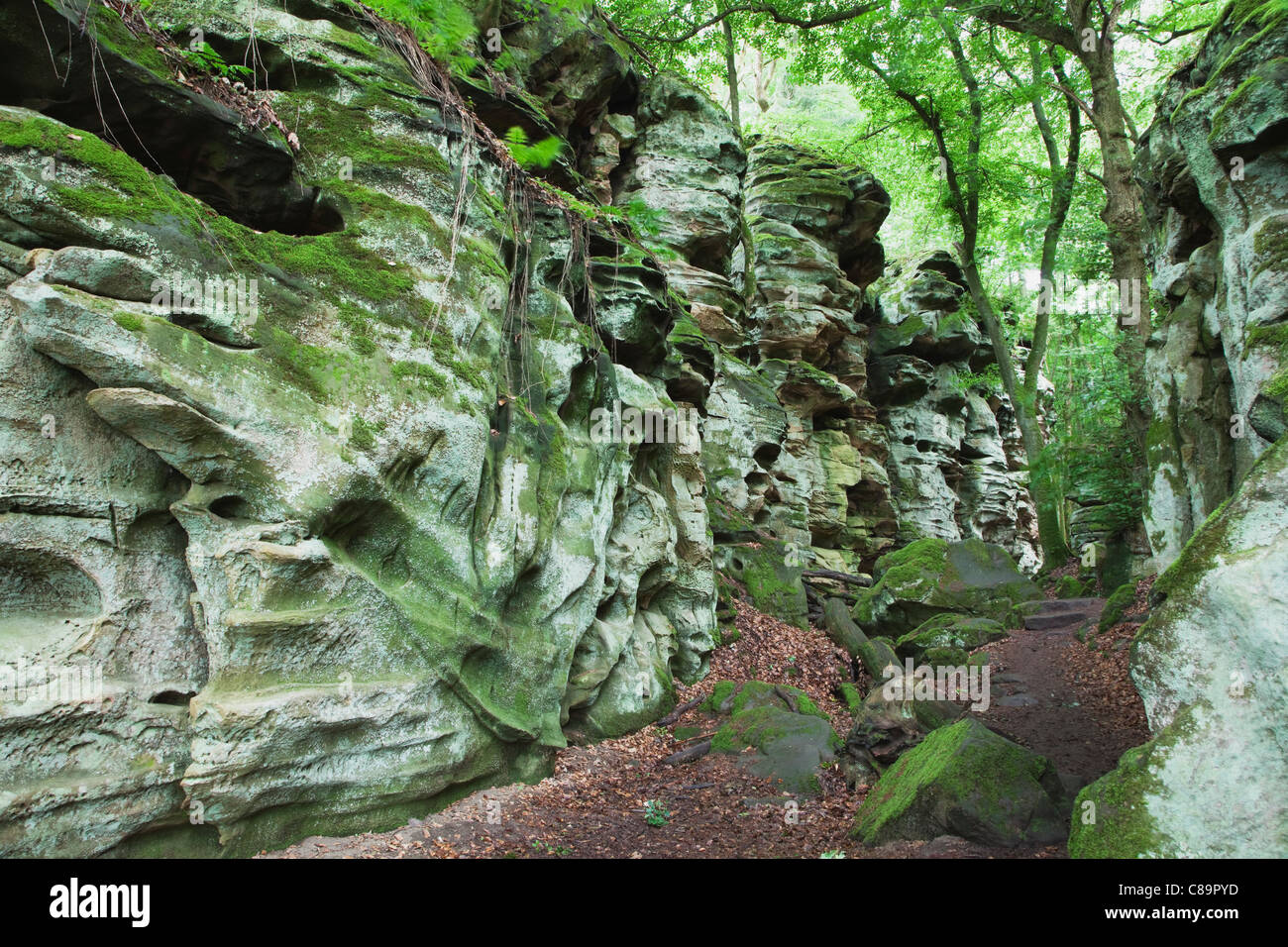 Deutschland, Rheinland-Pfalz, Eifel Region Süd-Eifel-Naturpark, Blick ...