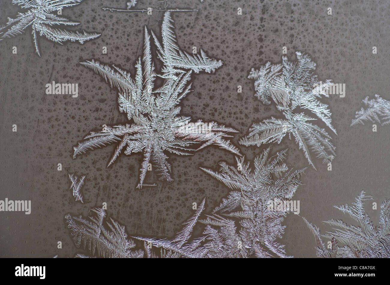 Eisblumen am fenster -Fotos und -Bildmaterial in hoher Auflösung – Alamy