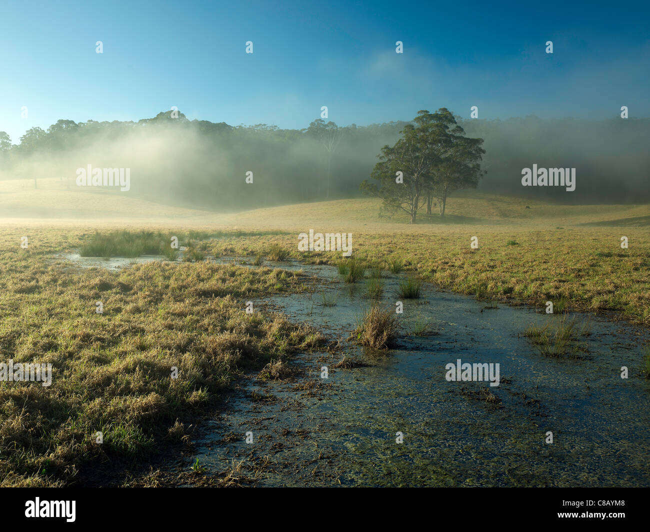 Tore von nebeln -Fotos und -Bildmaterial in hoher Auflösung – Alamy