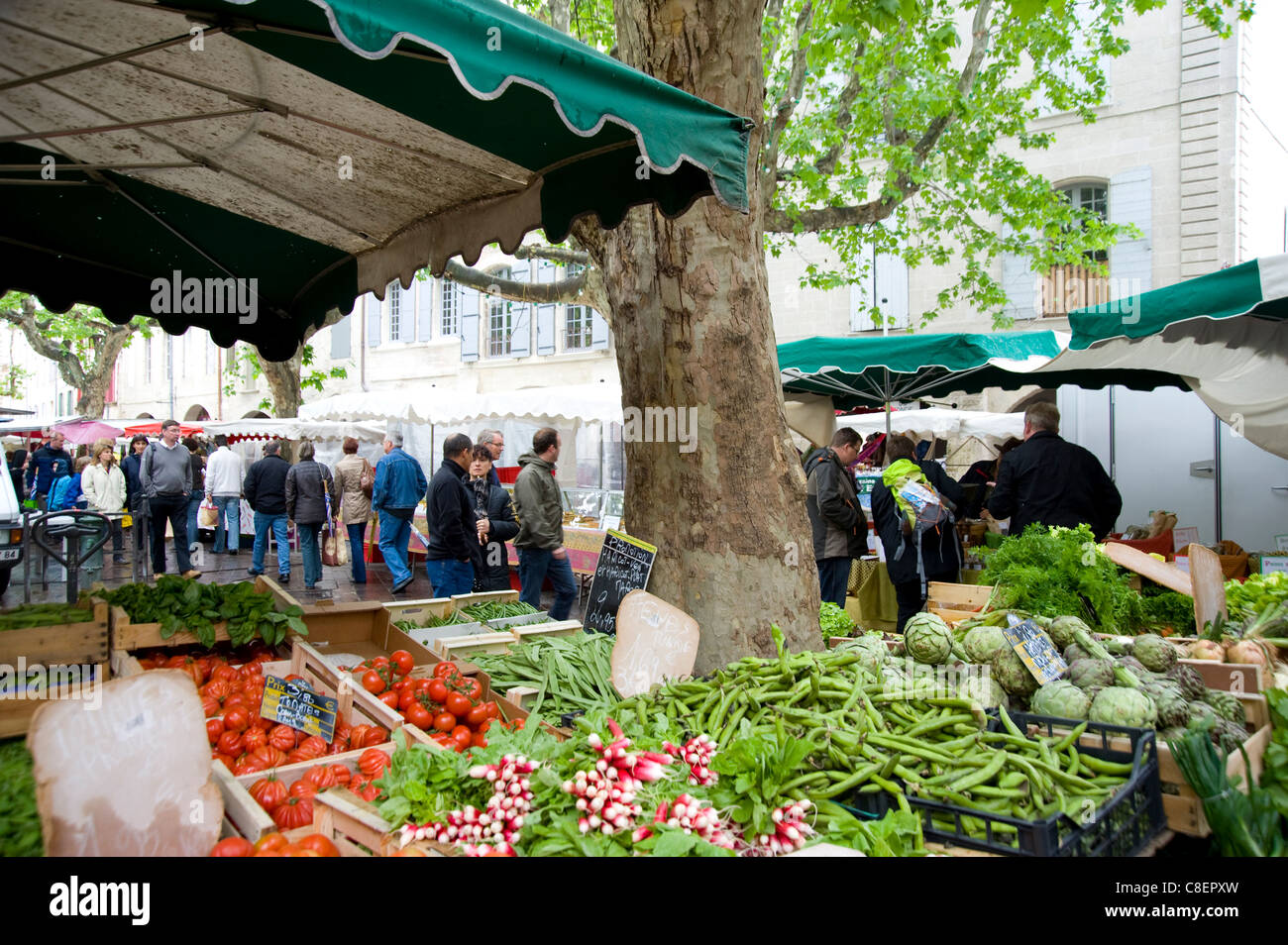 Market of uzes -Fotos und -Bildmaterial in hoher Auflösung – Alamy