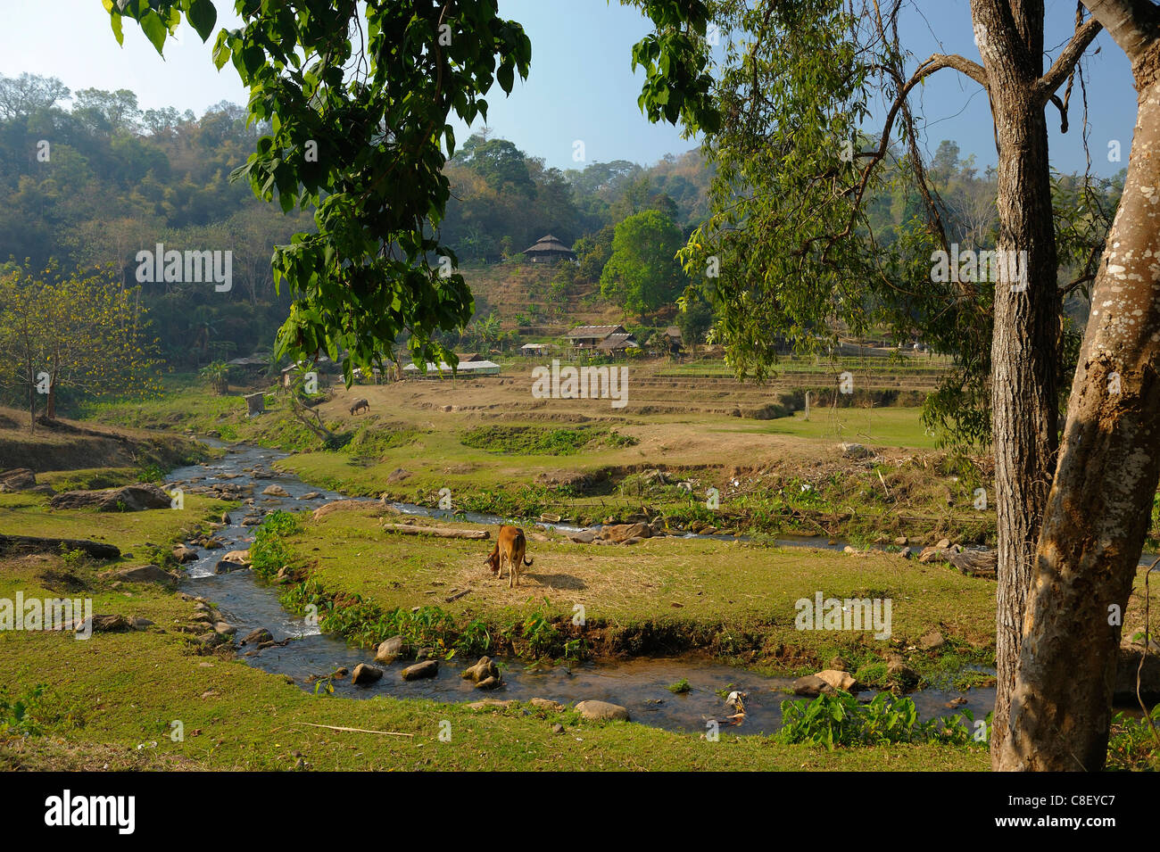 Mae sa tal -Fotos und -Bildmaterial in hoher Auflösung – Alamy