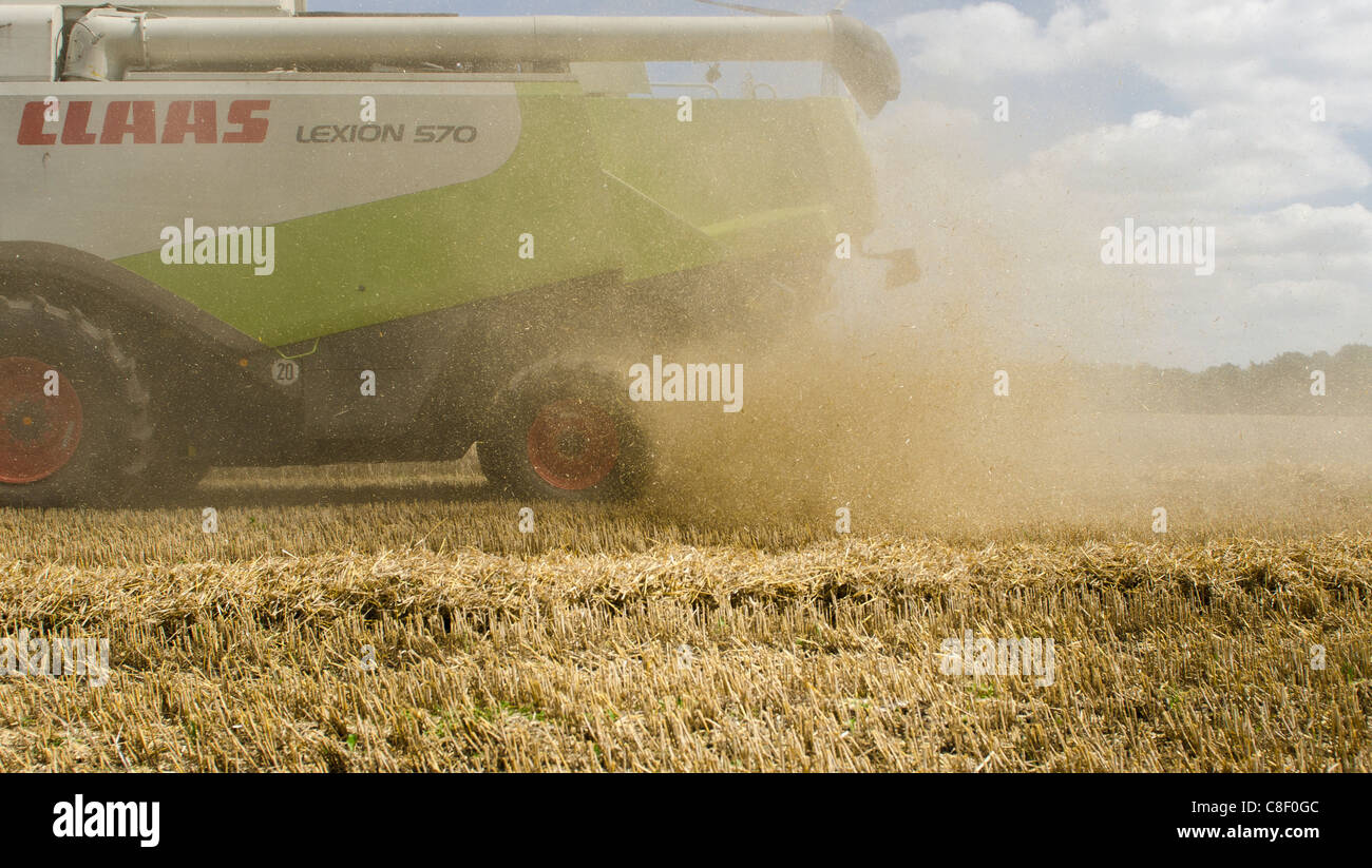 Weizen ernte claas -Fotos und -Bildmaterial in hoher Auflösung – Alamy