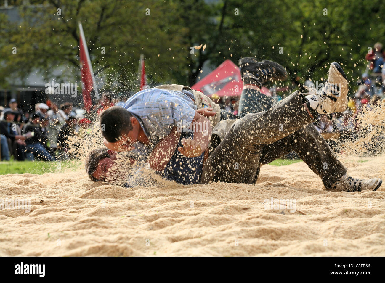 Kanton Bern, Event, Schwingen, Swiss wrestling, Schweiz, Festival ...