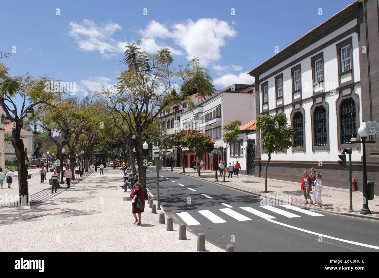 Avenida arriaga funchal madeira street -Fotos und -Bildmaterial in ...