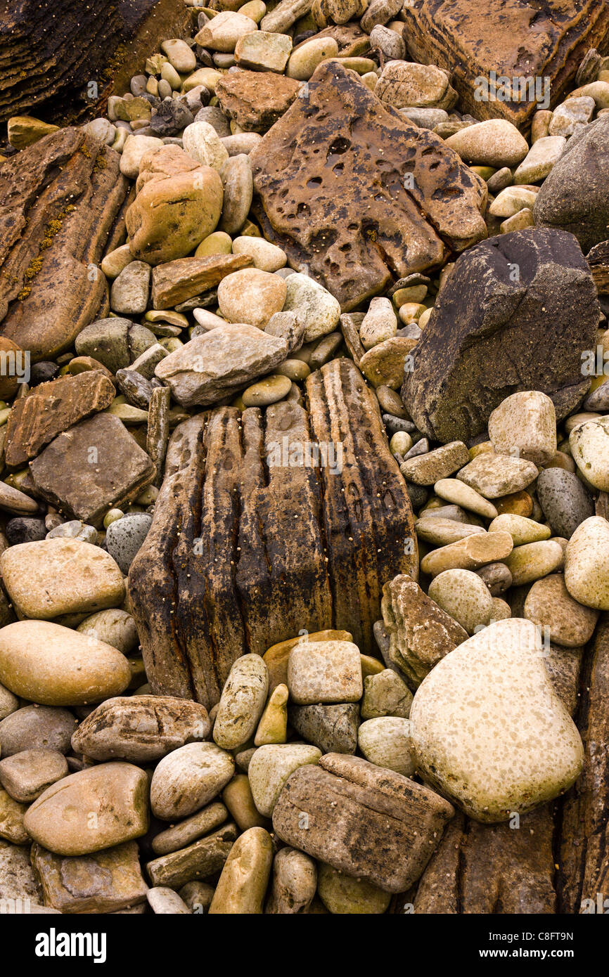 Strand mit kieselsteinen -Fotos und -Bildmaterial in hoher Auflösung ...