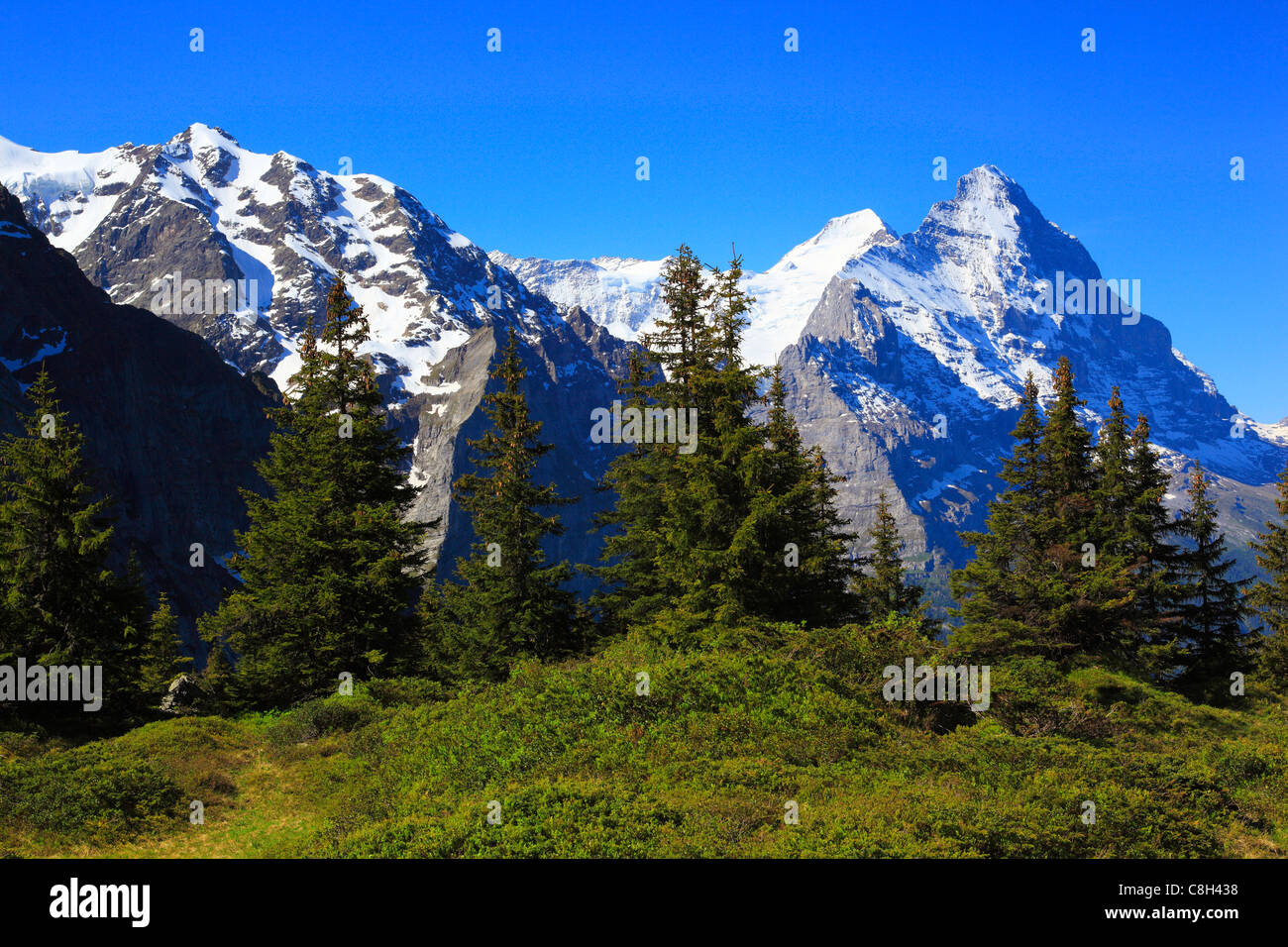Alp, Alpen, Blick, Berge, Bergpanorama, Berge, Bergmassiv, Bergpanorama ...