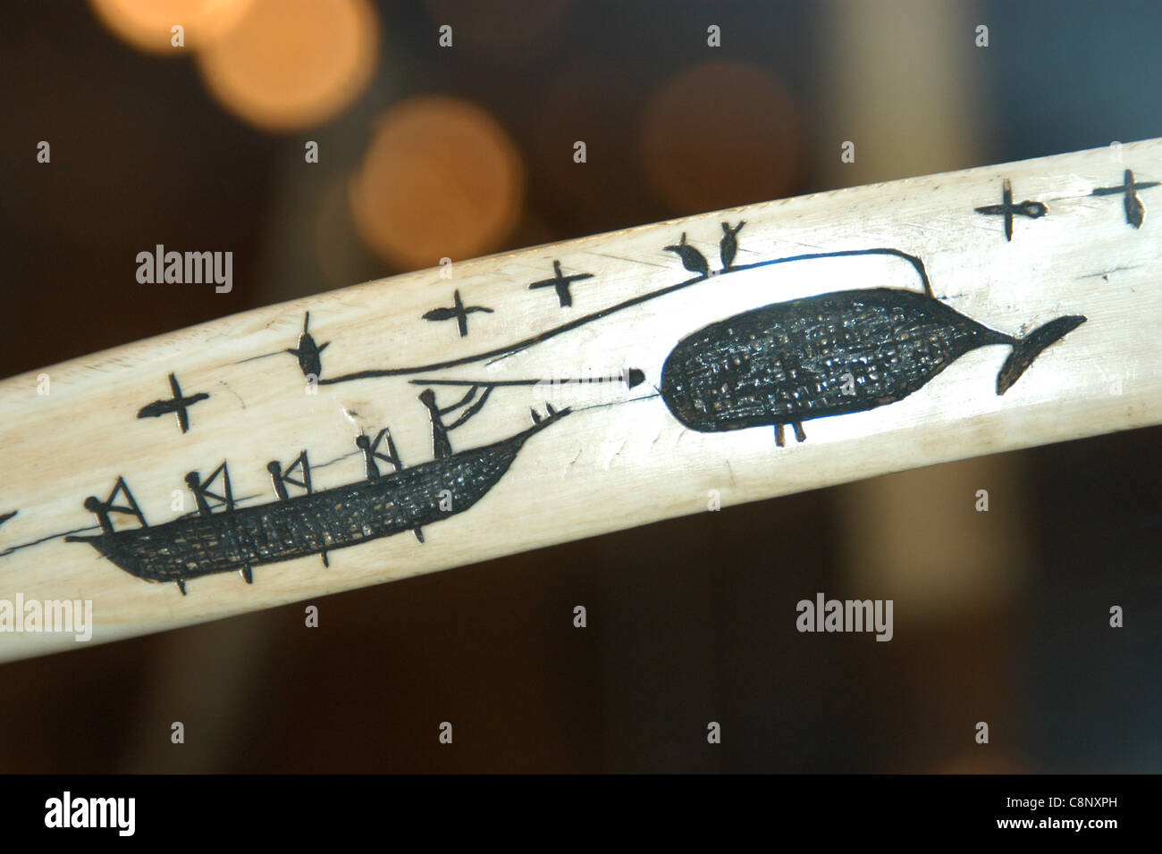 Wal harpune -Fotos und -Bildmaterial in hoher Auflösung – Alamy