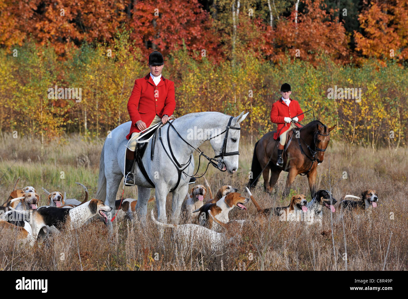 Zwei reiter jagen -Fotos und -Bildmaterial in hoher Auflösung – Alamy