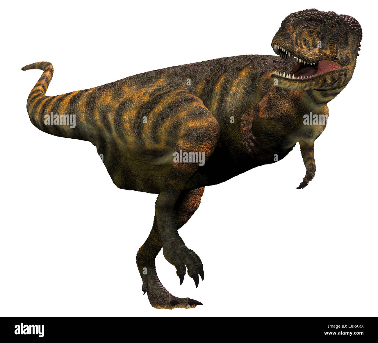 Abelisauriden theropod dinosaurier -Fotos und -Bildmaterial in hoher ...
