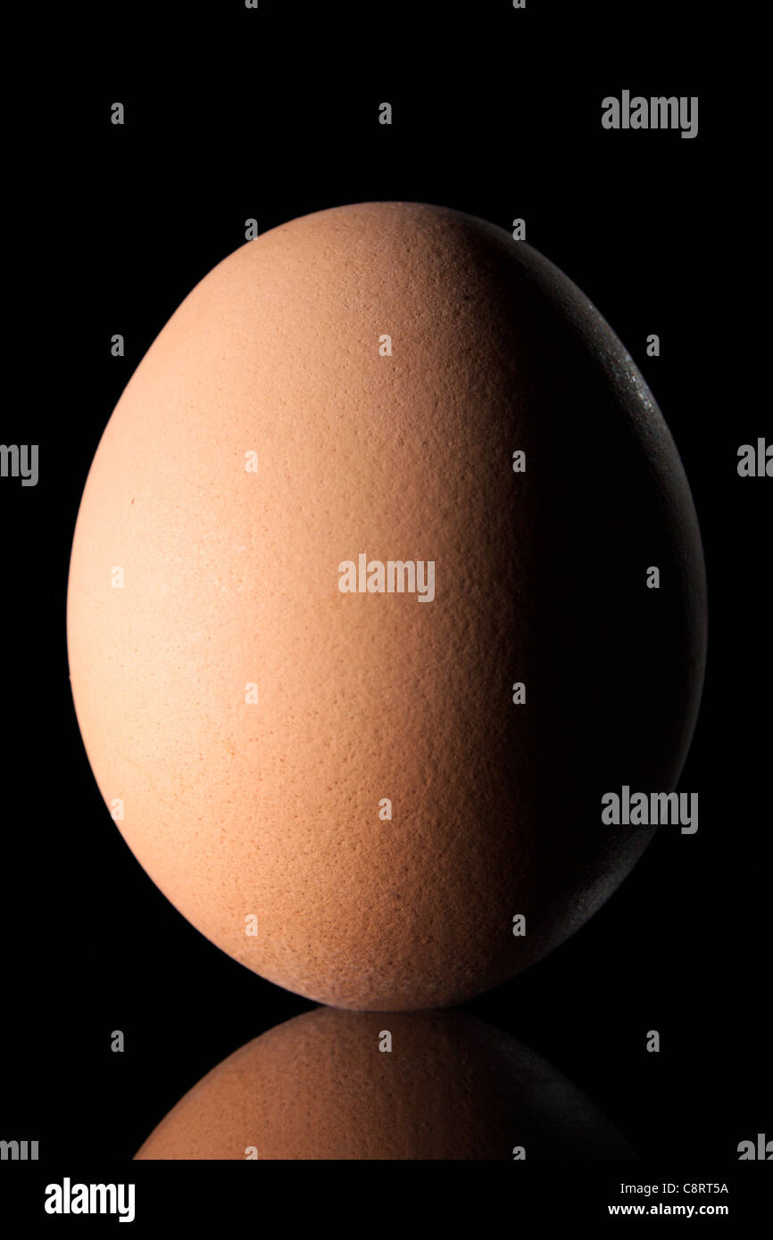 Batterie ei -Fotos und -Bildmaterial in hoher Auflösung – Alamy