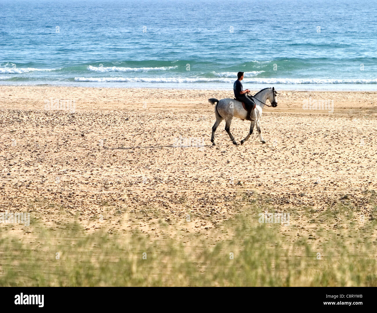 Reiter und pferd am strand -Fotos und -Bildmaterial in hoher Auflösung – Alamy