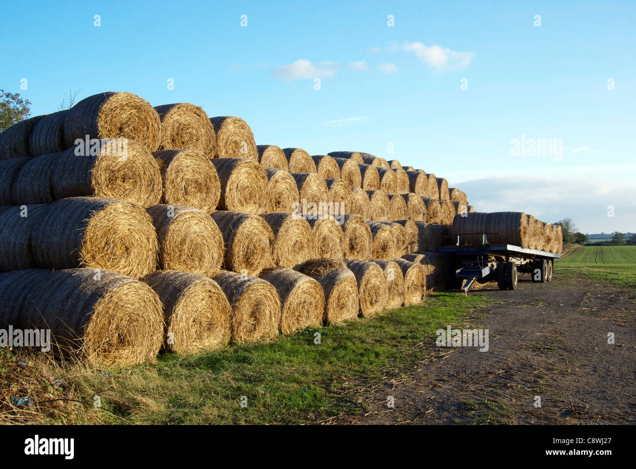 Ein bauer stapelte heuballen -Fotos und -Bildmaterial in hoher ...