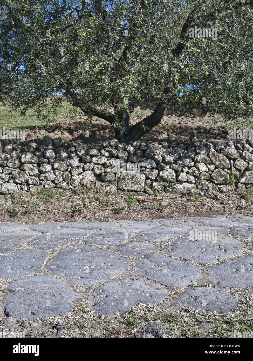 Antike römische Straße (Via Cassia) in Italien Stockfotografie - Alamy