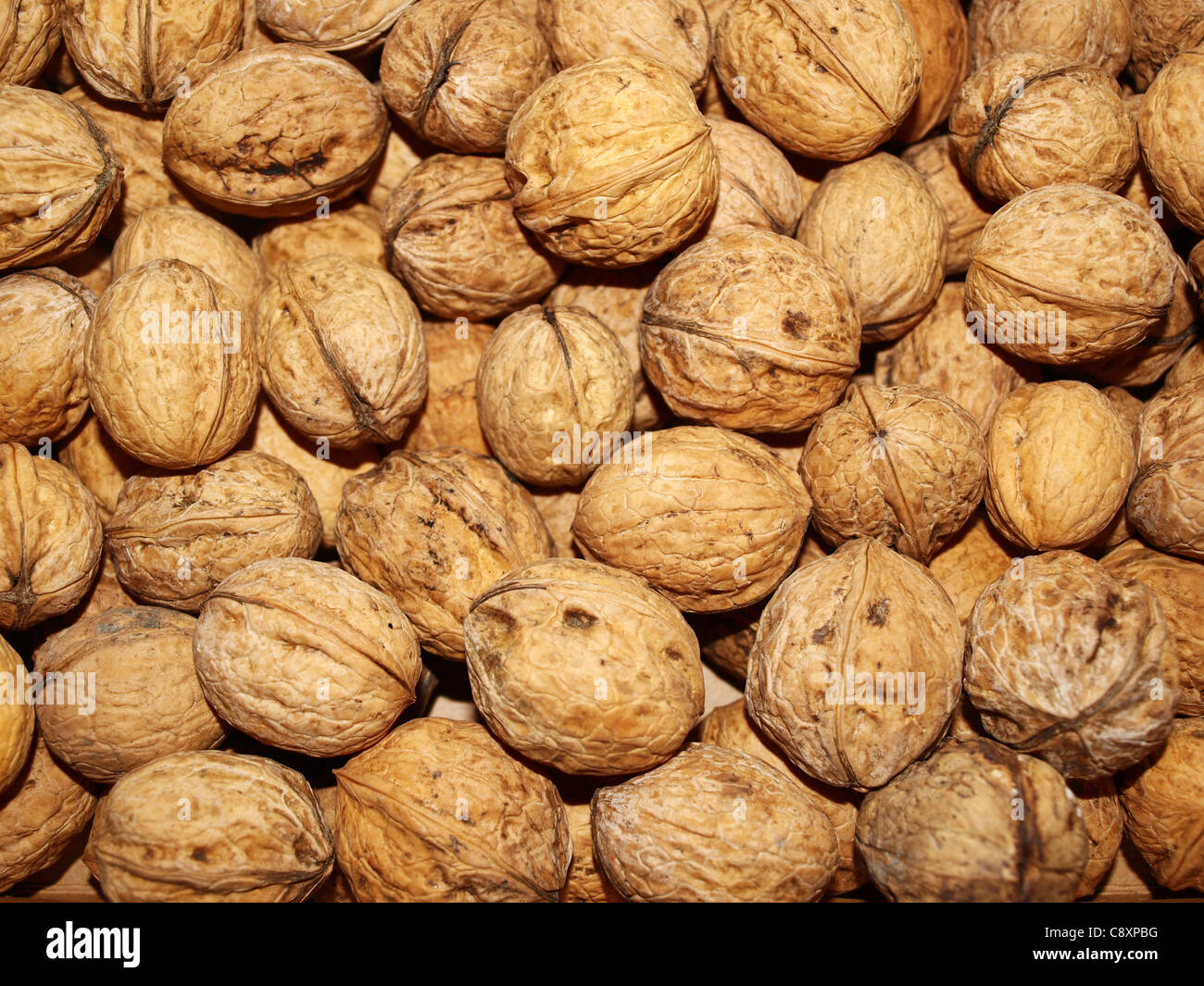 Nut cores -Fotos und -Bildmaterial in hoher Auflösung – Alamy