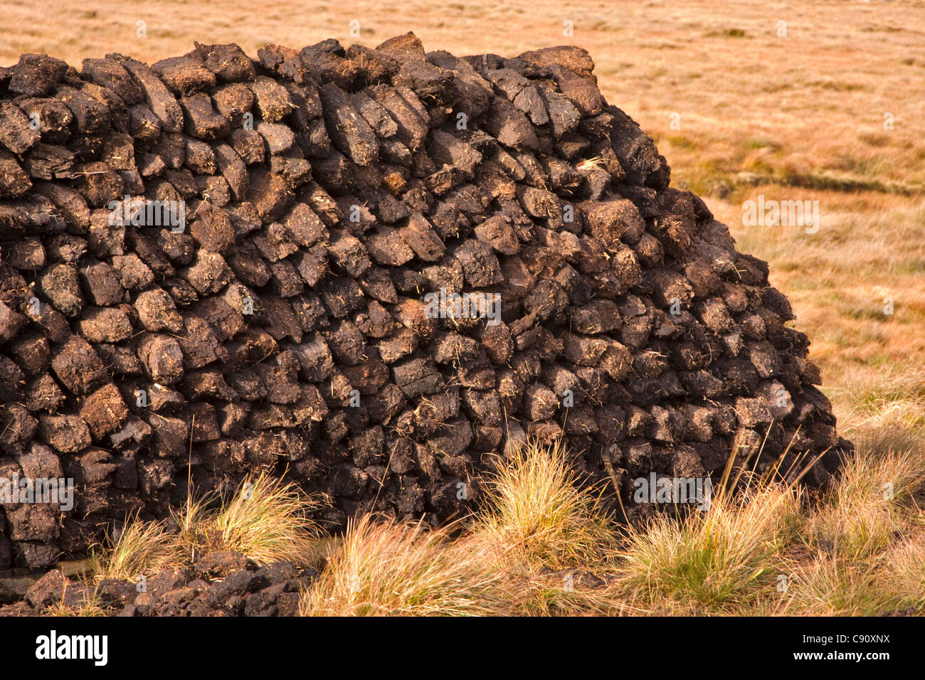 Trocknender torf -Fotos und -Bildmaterial in hoher Auflösung – Alamy