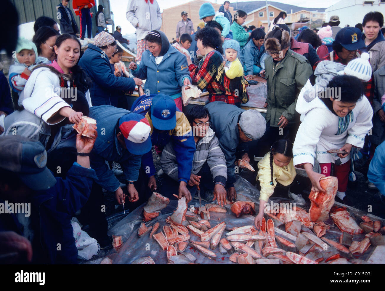 Inuit-Familien wählen fangfrischen Beluga-Wal Fleisch aus den letzten ...