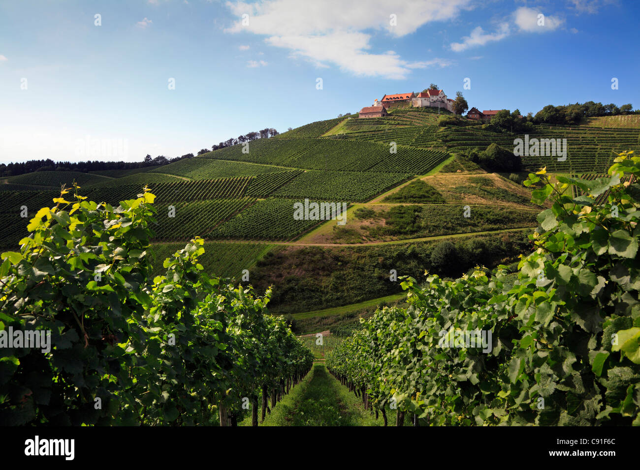 Schloss Staufenberg Winery Durbach Baden Württemberg Germany Stockfotos und -bilder Kaufen - Alamy