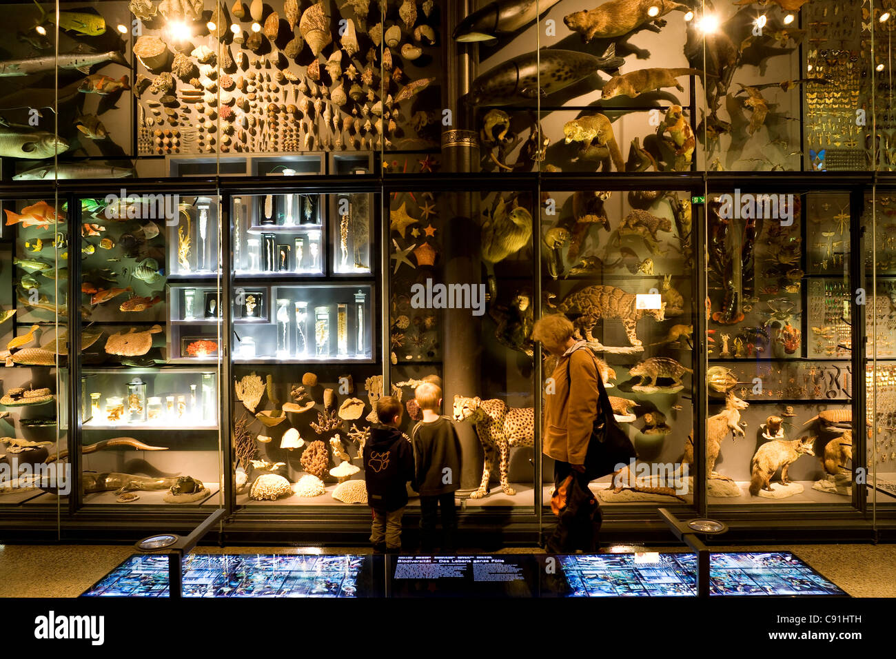 Menschen am Berlin Museum of Natural History, Invalidenstraße, Berlin ...