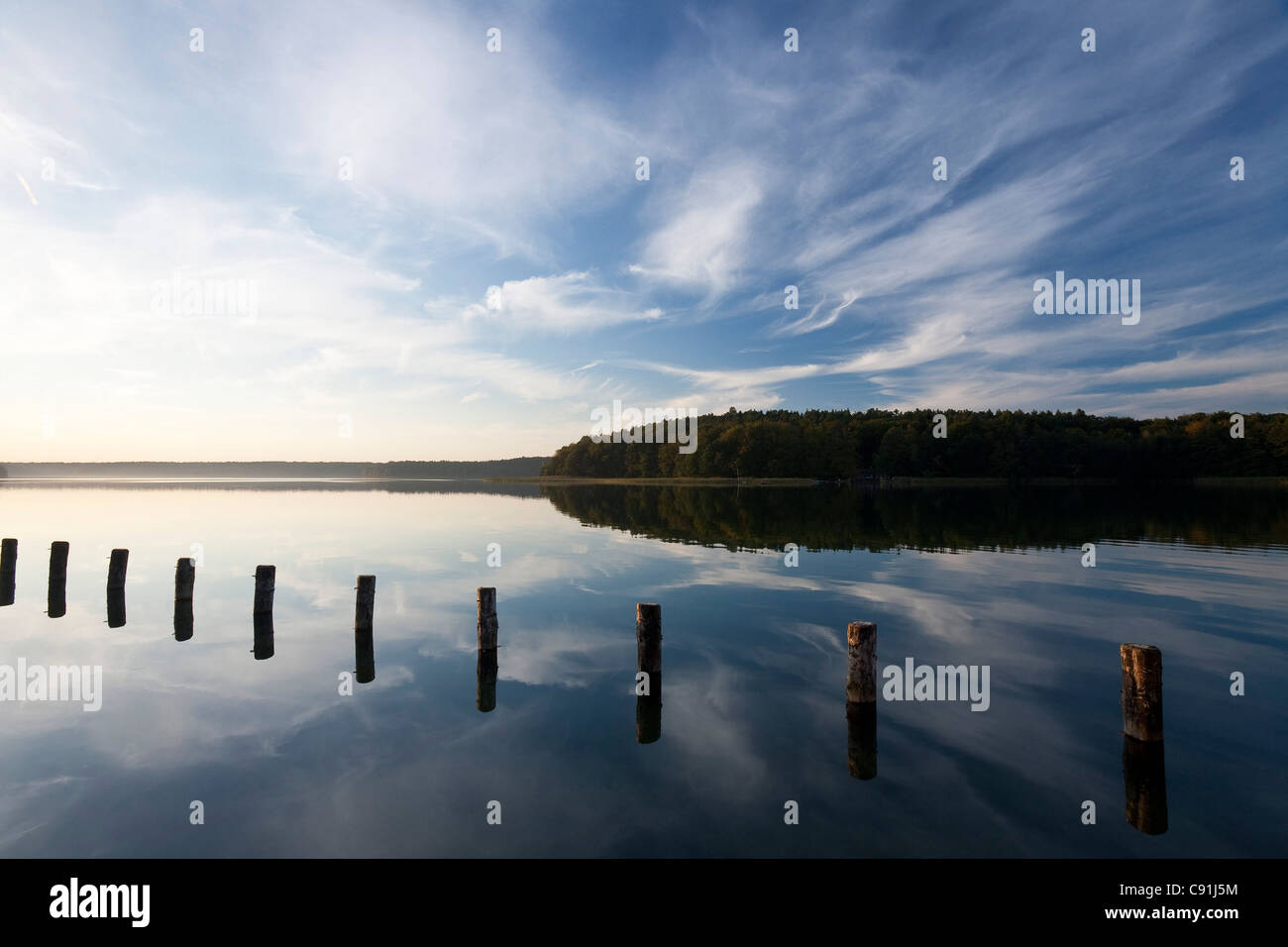 Stechlinsee brandenburg -Fotos und -Bildmaterial in hoher Auflösung – Alamy