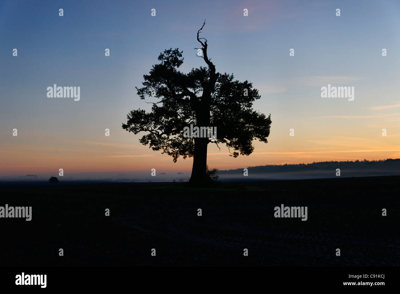 Mecklenburger malchin -Fotos und -Bildmaterial in hoher Auflösung – Alamy