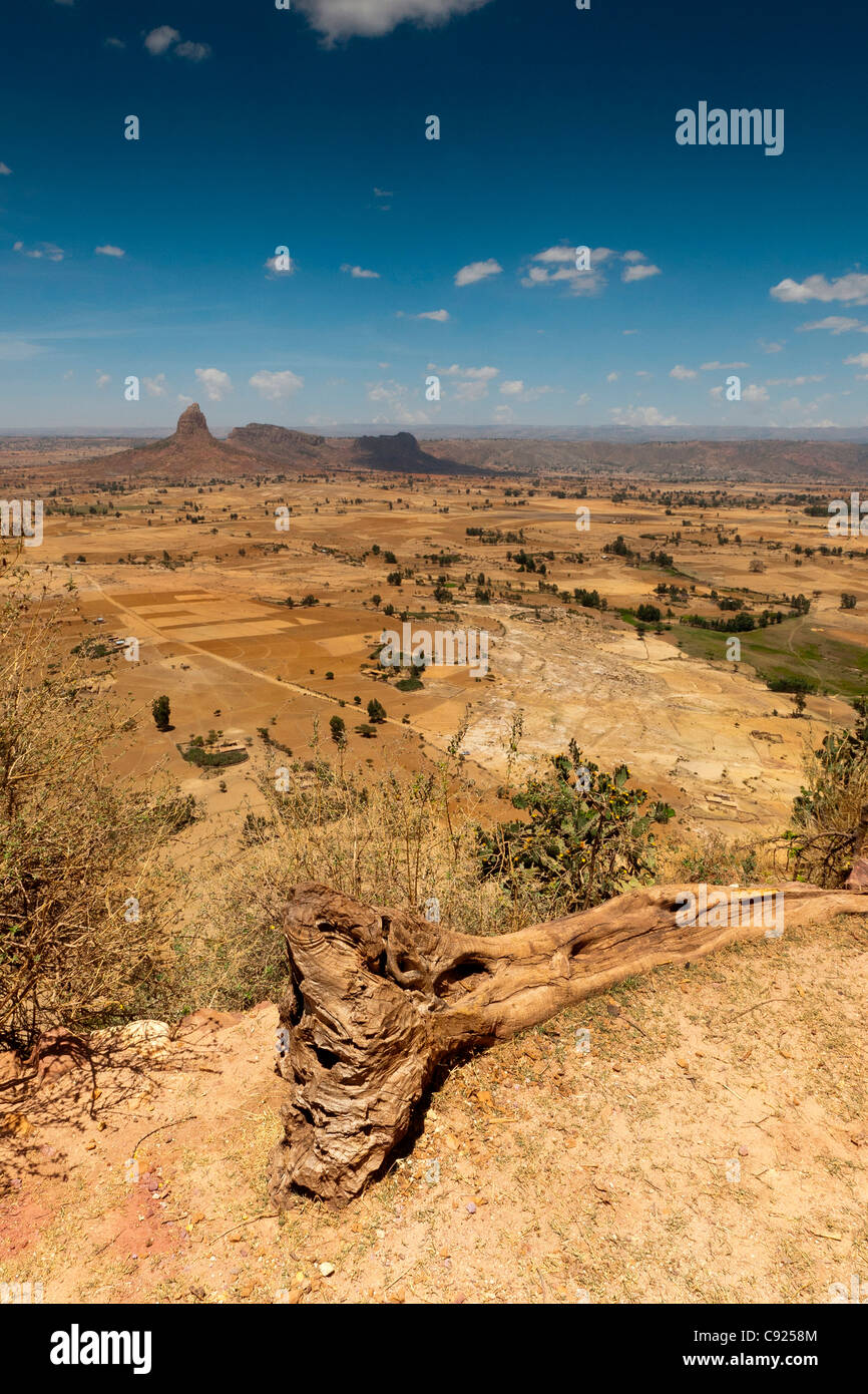 Debre tsion abraham -Fotos und -Bildmaterial in hoher Auflösung – Alamy