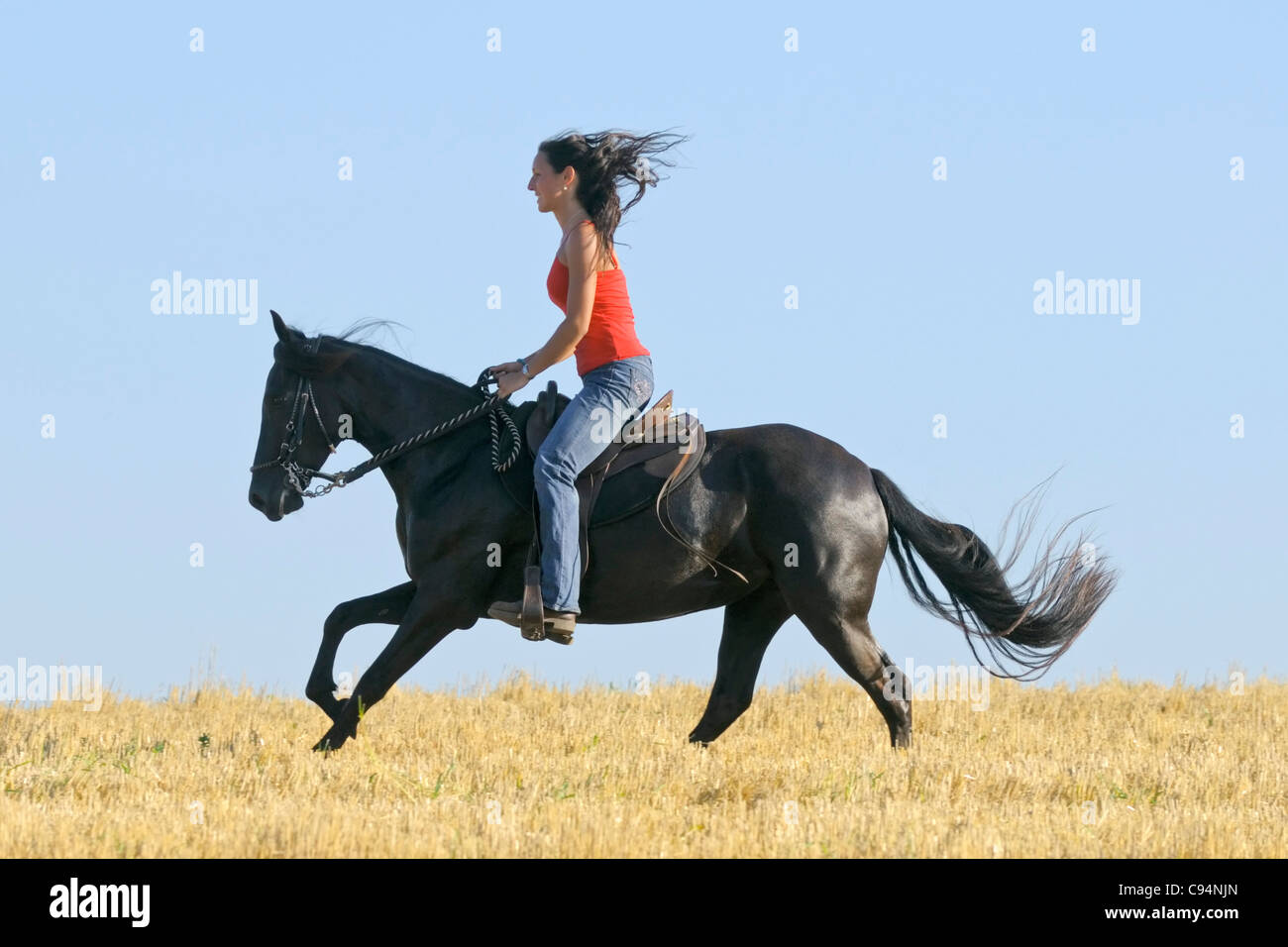 Frau reiten galopp westlichen -Fotos und -Bildmaterial in hoher ...