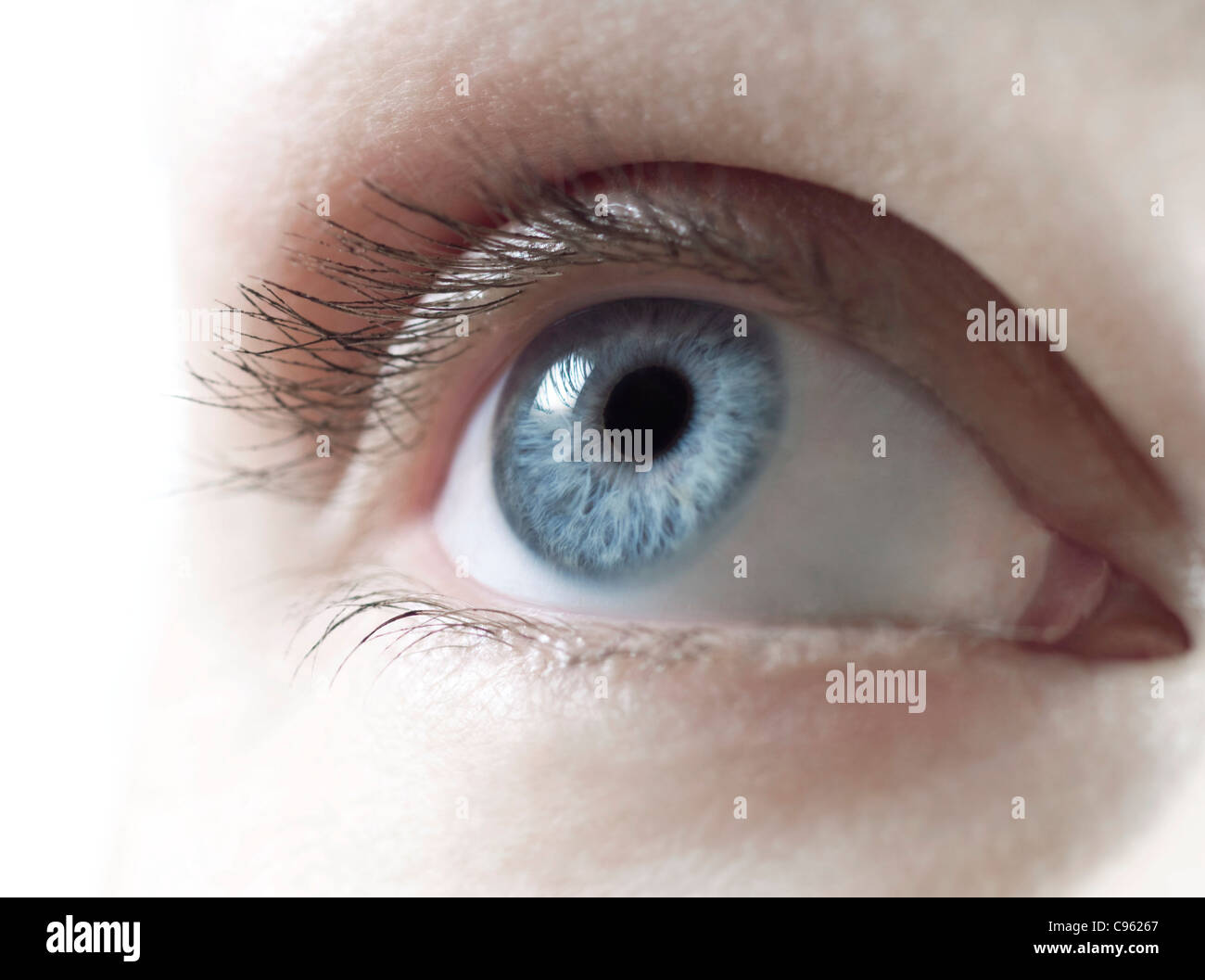 Horizontalschnitt des menschlichen auges -Fotos und -Bildmaterial in ...