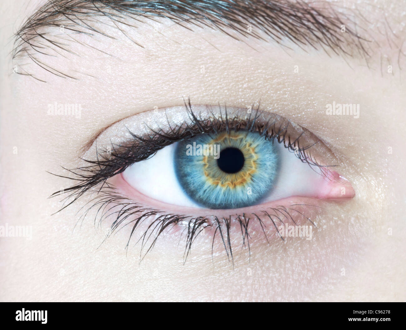 Horizontalschnitt des menschlichen auges -Fotos und -Bildmaterial in ...