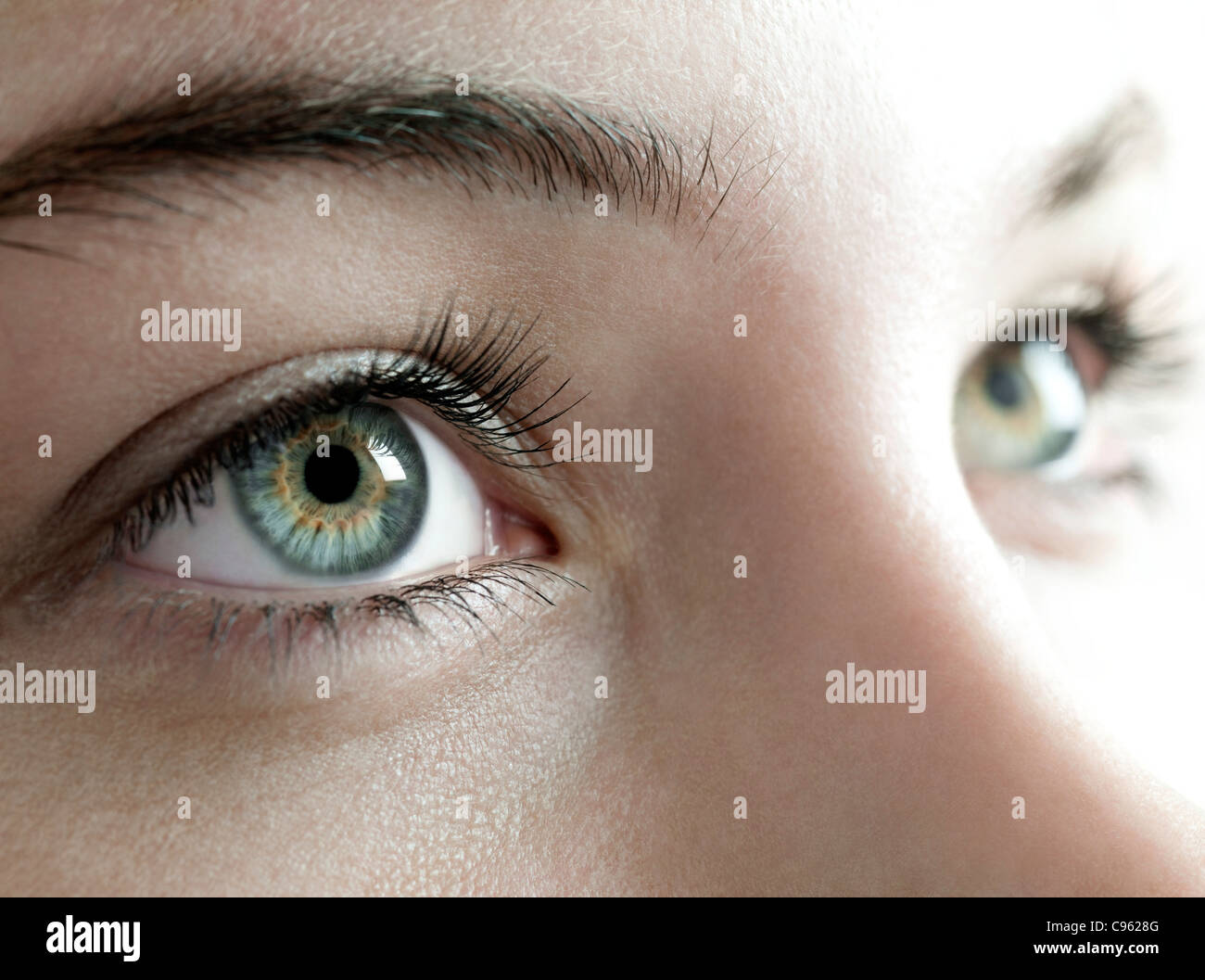 Pflanze mit gesicht und augen Stockfotos und -bilder Kaufen - Alamy