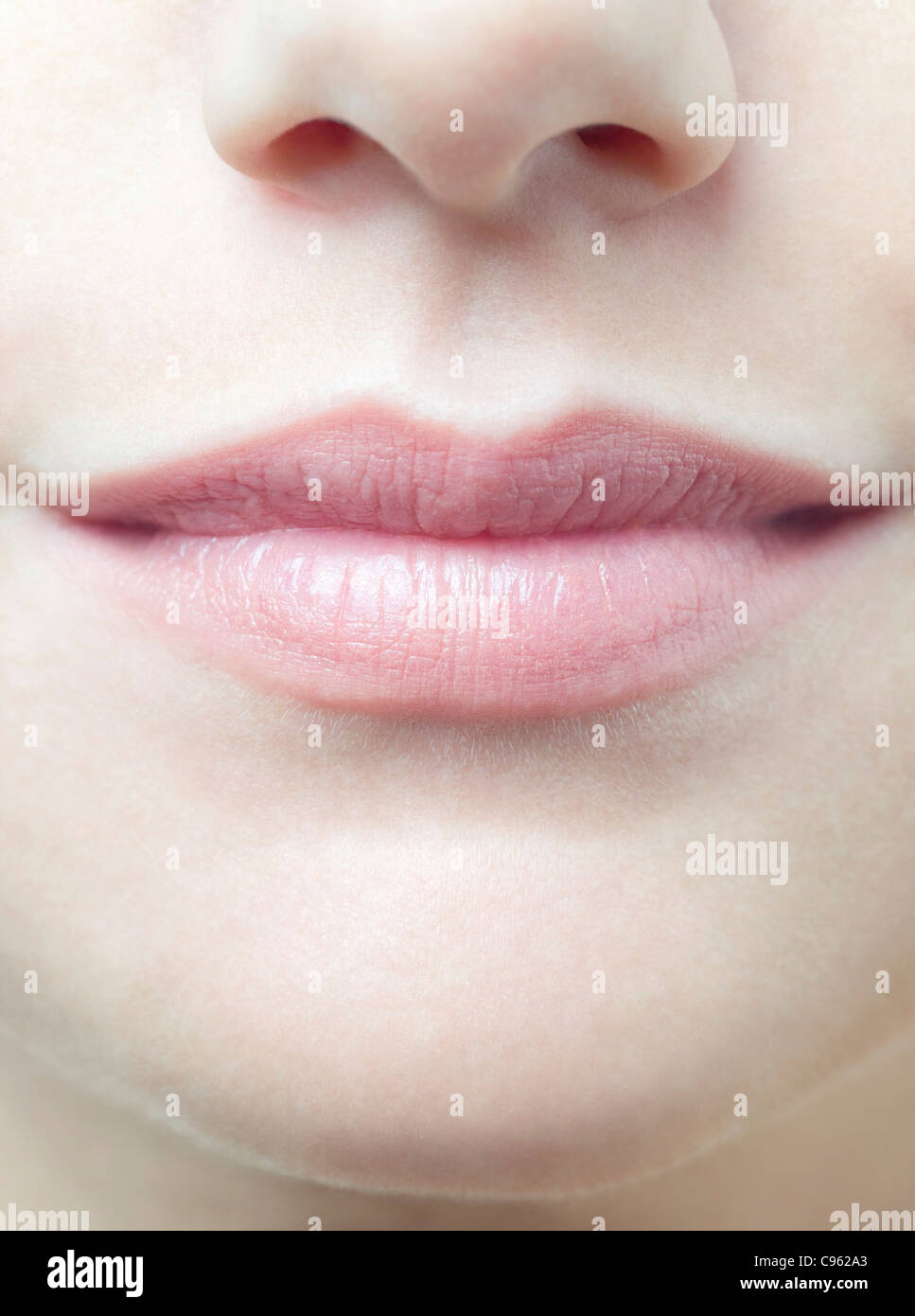 Anatomie mund -Fotos und -Bildmaterial in hoher Auflösung – Alamy