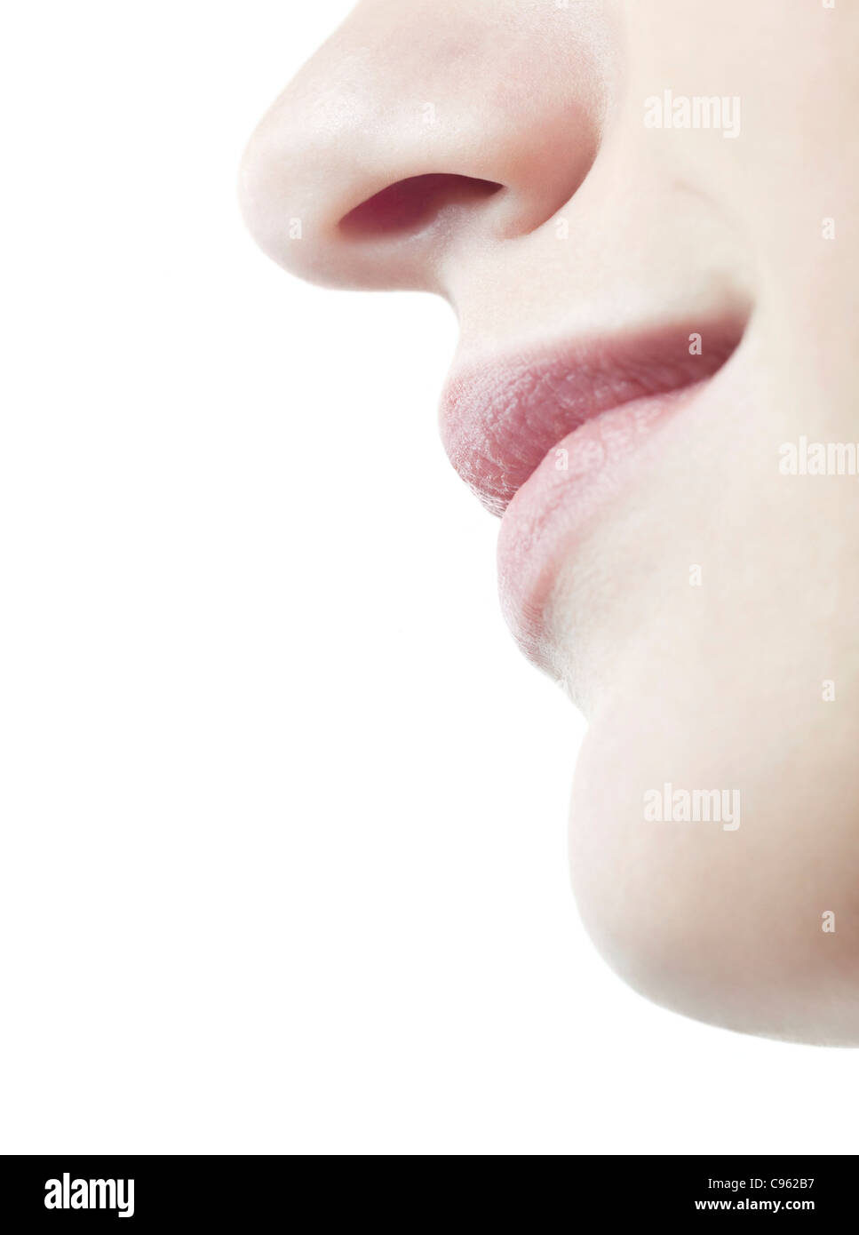Nase anatomie -Fotos und -Bildmaterial in hoher Auflösung – Alamy