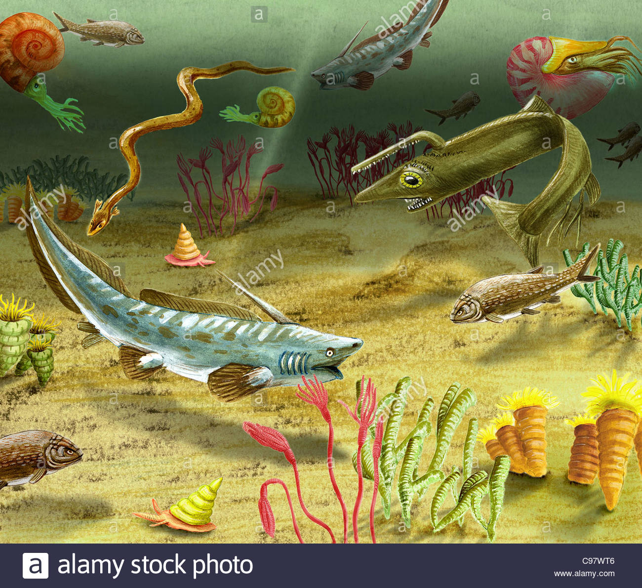 Carboniferous Period Stockfotos & Carboniferous Period Bilder - Alamy