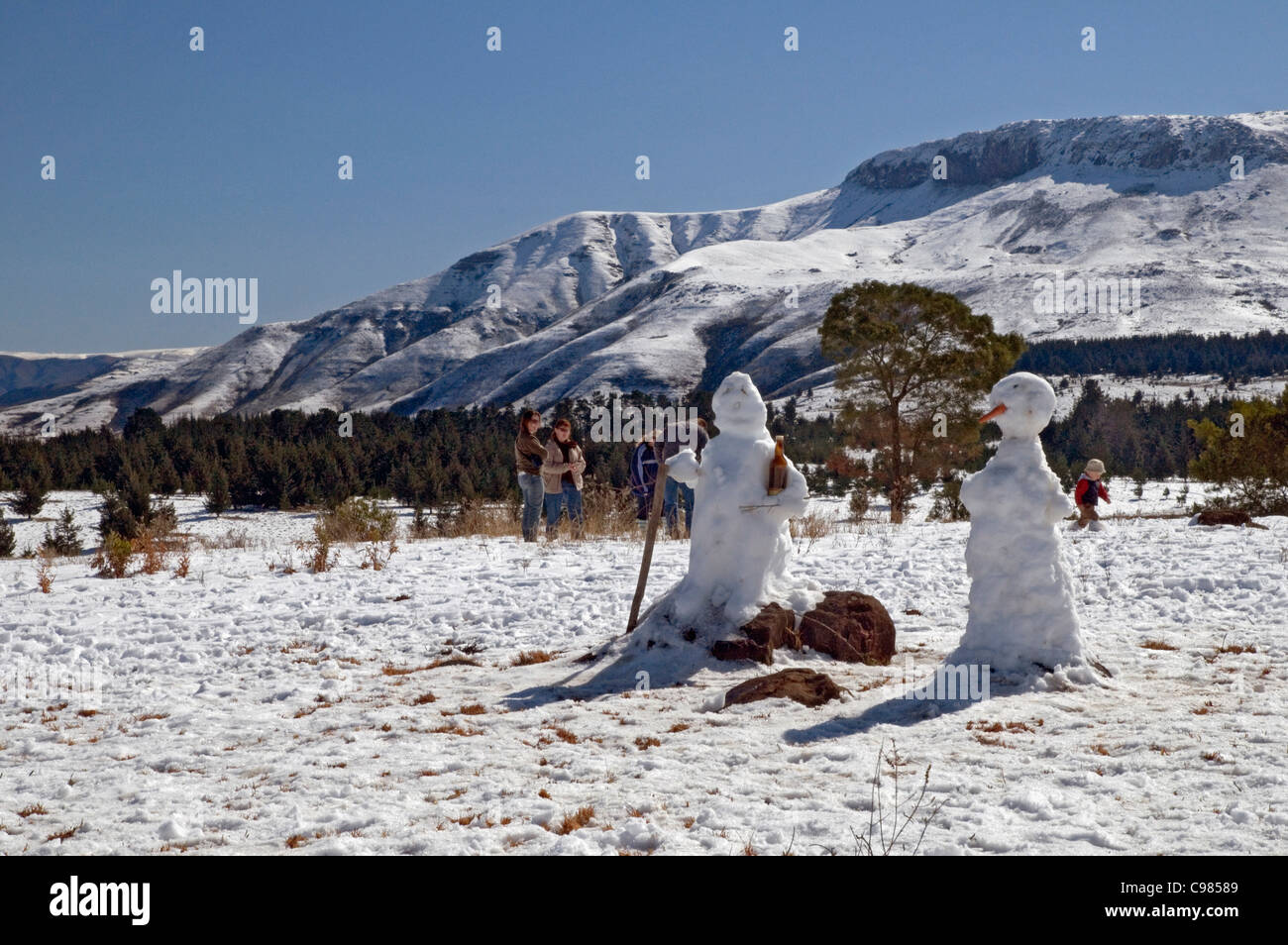 Schnee und Schneemänner bei Hogsback in den Amathole-Bergen ...