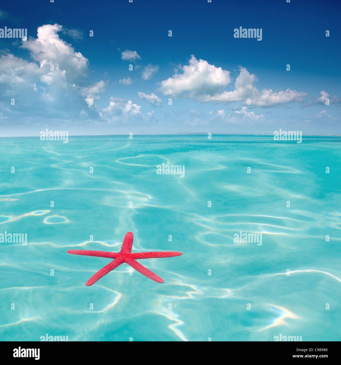 Caribbean sea -Fotos und -Bildmaterial in hoher Auflösung – Alamy Caribbean sea -Fotos und -Bildmaterial in hoher Auflösung – Alamy
