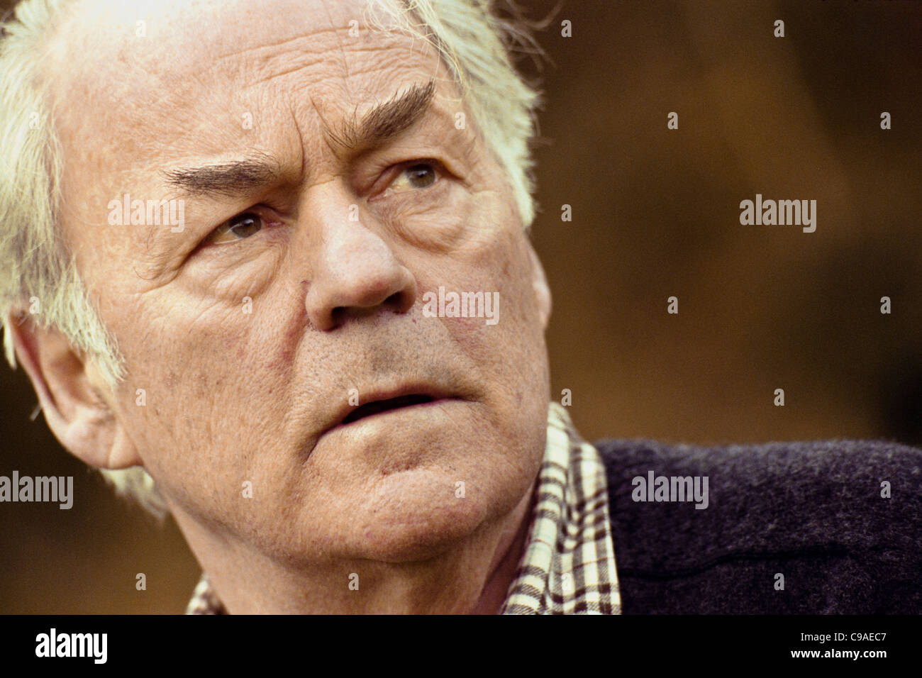 Natalie holz -Fotos und -Bildmaterial in hoher Auflösung – Alamy