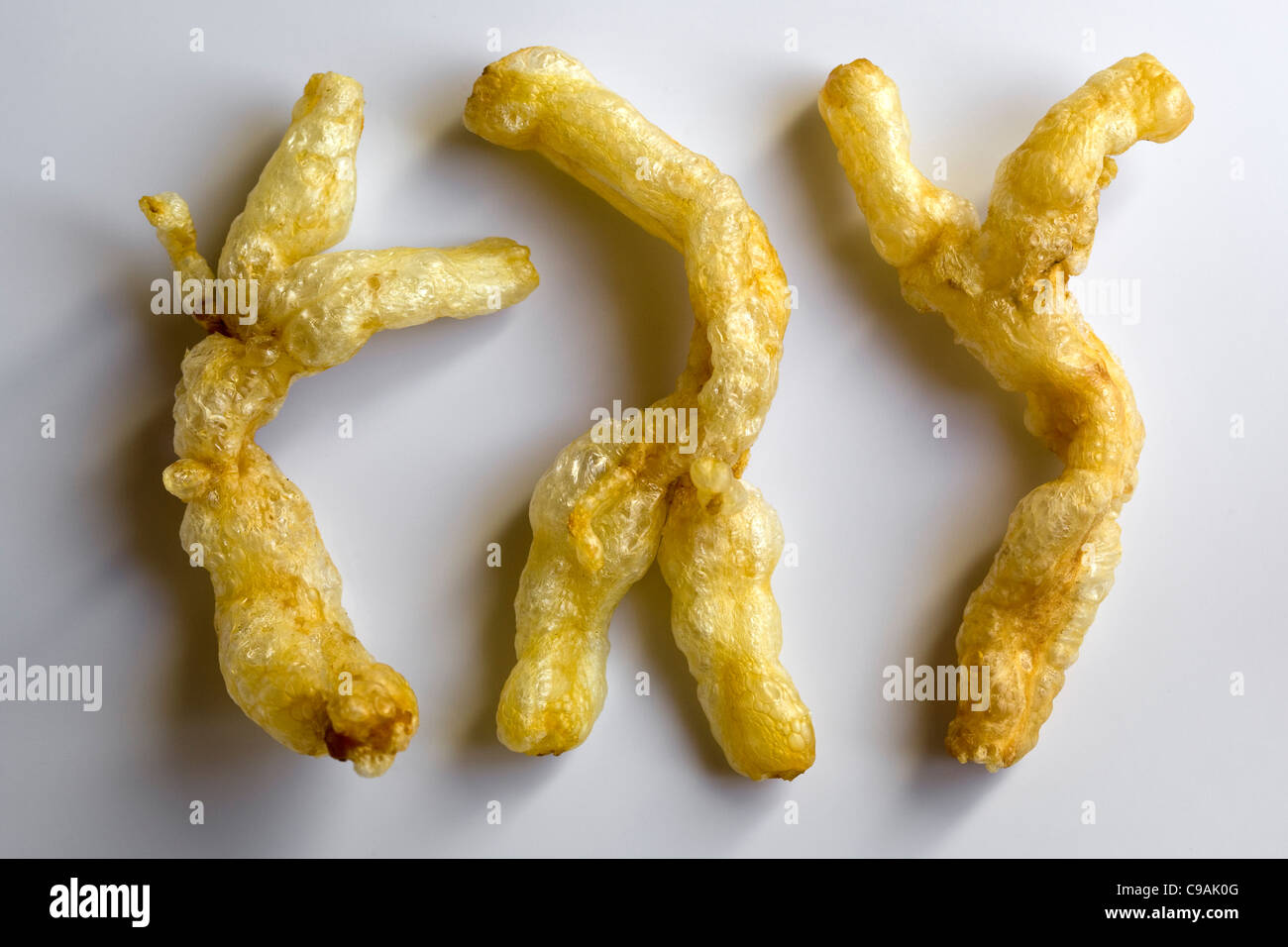 Getrockneter Fisch Maw oder Schwimmblase Stockfotografie - Alamy