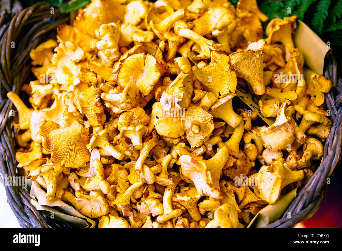 Ungekochte wildpilze -Fotos und -Bildmaterial in hoher Auflösung – Alamy