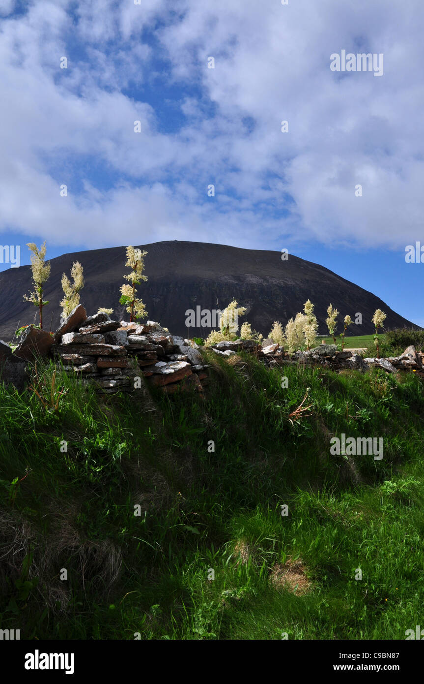 The Ward Hill, Insel Hoy, Orkney, Schottland Stockfotografie - Alamy